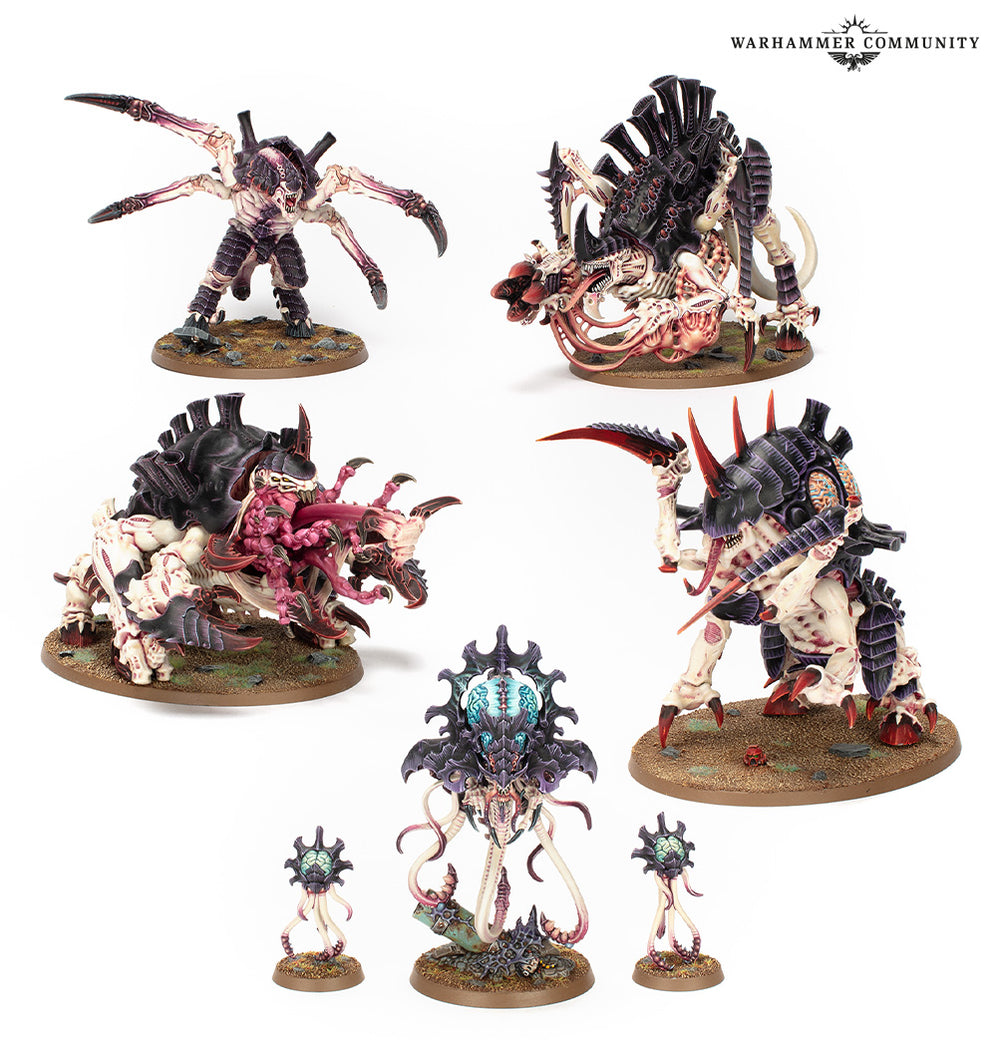 PREORDER Warhammer Battleforce: Crusher Stampede — Raptor Concept Store ...